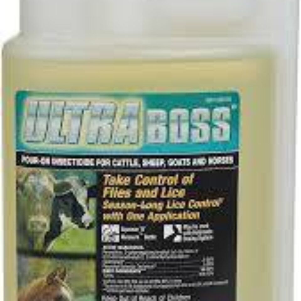 Home - TT Distributors